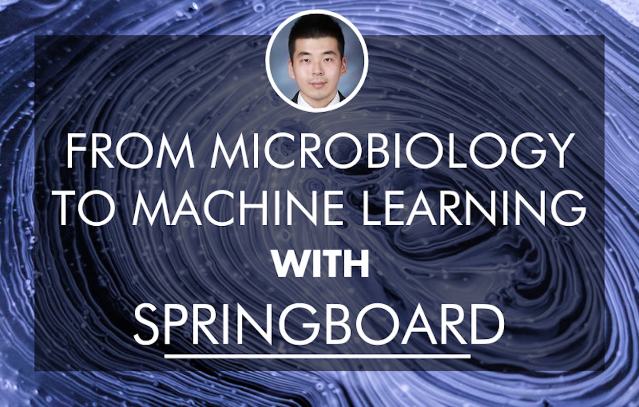 From Microbiology to Machine Learning with Springboard | Course Report